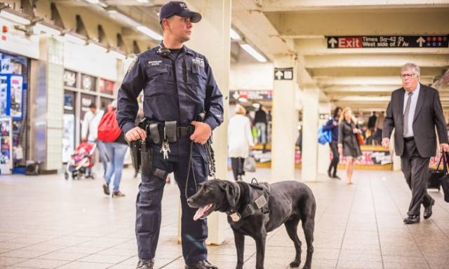 Importance of K-9 Units in Security - Corinthians Group of Companies