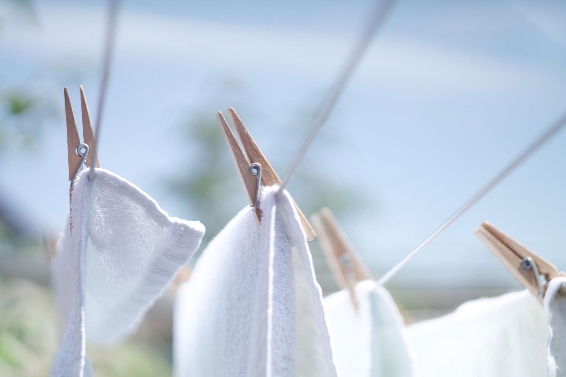 Cleaning 101: Important Cleaning Tools for Every Home - Corinthians ...